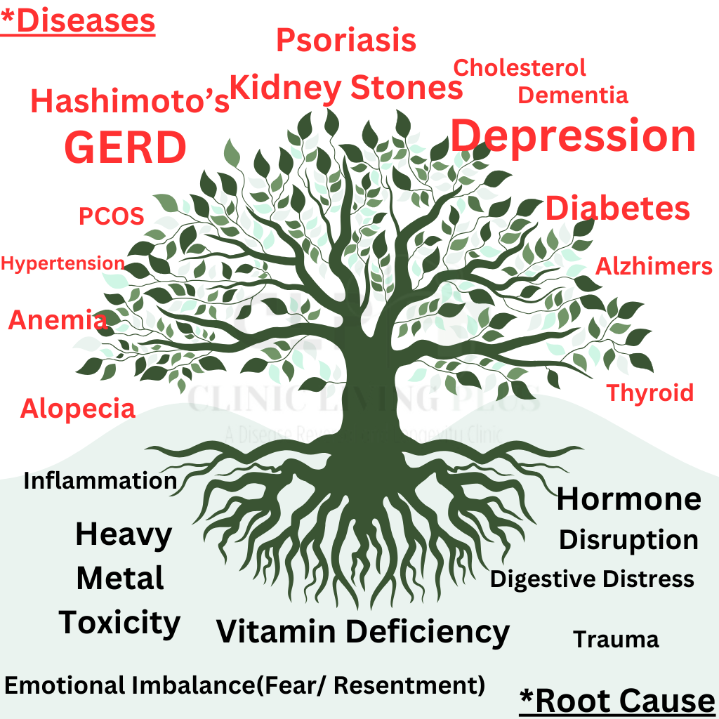 Functional Medicine Doctor Consultation - Clinic Living Plus